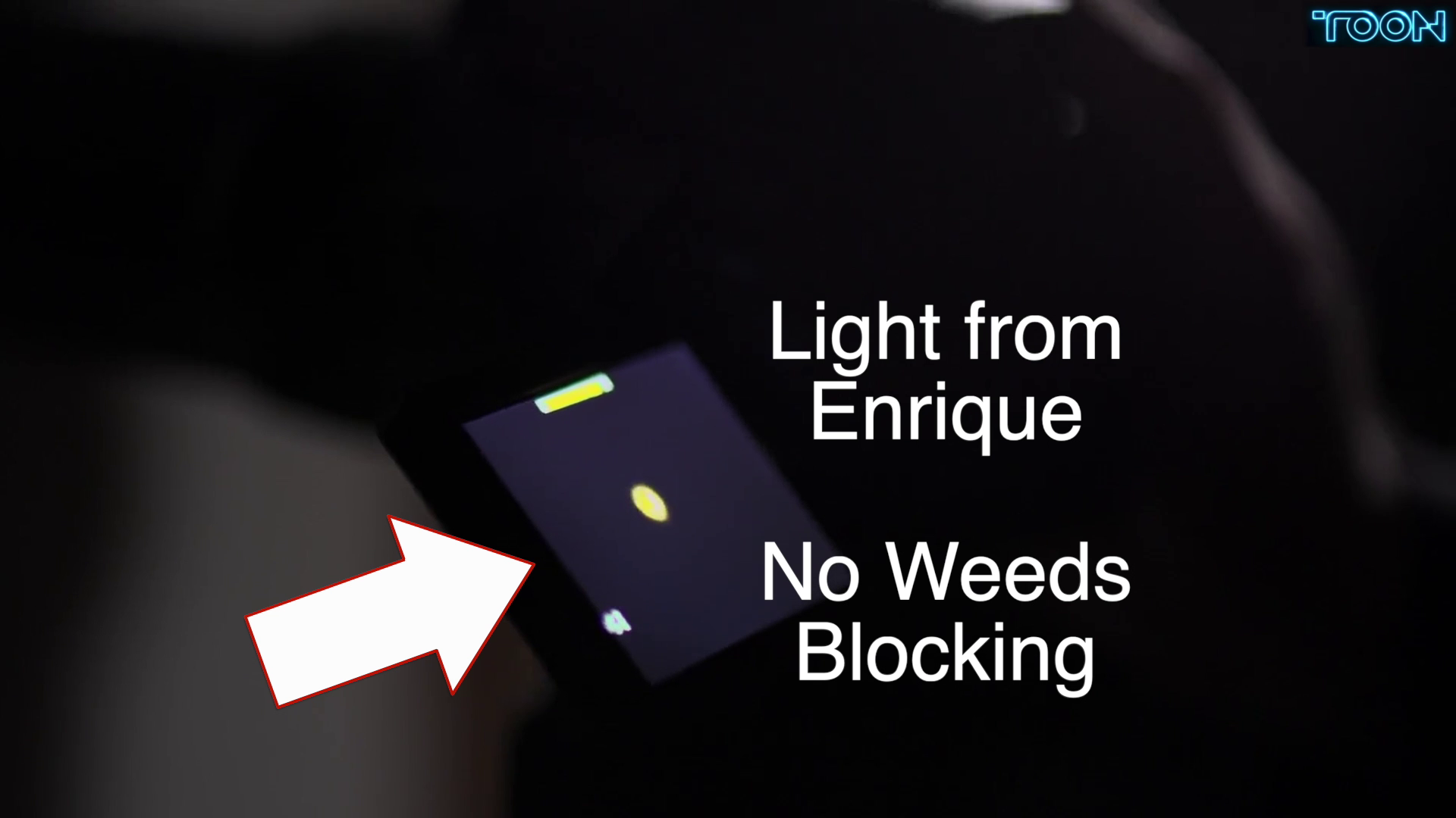 Interesting | MCToon